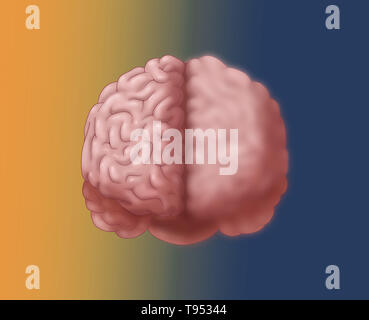 Memory loss, conceptual illustration Stock Photo - Alamy