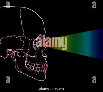 Illustration of the eye perceiving visible light Stock Photo - Alamy