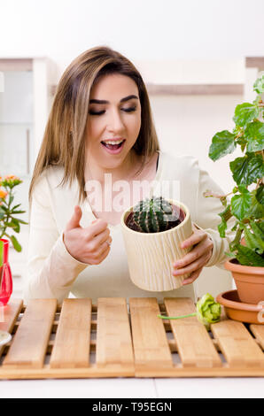 Young woman gardener caring cactus pant working at greenhouse Stock ...