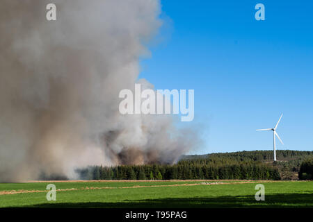 Moray, Scotland, UK. 16th May, 2019. Wildfire at Dunphail, Moray, UK ...