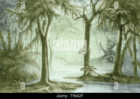 THE CARBONIFEROUS PERIOD Stock Photo - Alamy