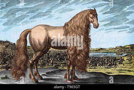A horse with a long mane and human feet at the end of its forelegs ...