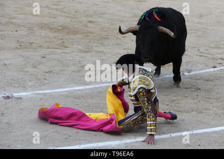 Spanish matador David Galvan is seen performing with a 'Valdefresno ...