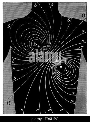 Augustus Waller, ECG Demonstration, 1888 Stock Photo - Alamy