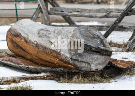 Timber on frozen ground Stock Photo - Alamy
