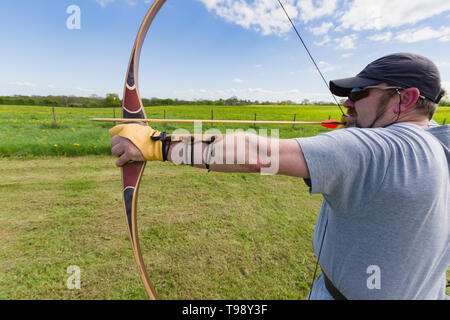 A field archer preparing to loose an arrow using an American laminated ...