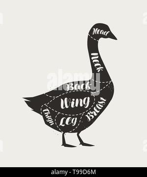 Cut of meat, goose. Poster butcher diagram and scheme, vector ...