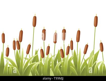 Cane and reeds in the green grass. Swamp and river plants. Vector flat ...