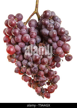 A bunch of overripe grapes isolated on white background Stock Photo - Alamy