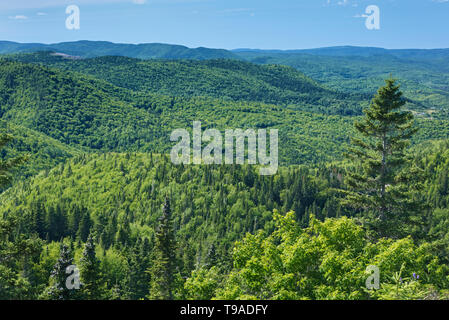 Appalachian Mountains, Parc de la Gaspesie, Quebec, Canada Stock Photo ...