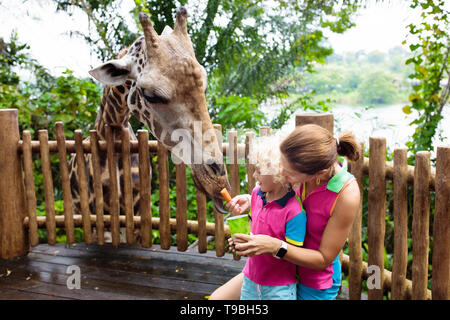 Family feeding giraffe in zoo. Children feed giraffes in tropical ...