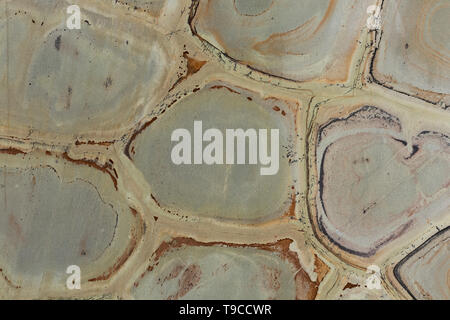 Turtle green - natural quartzite stone texture, photo of slab. Matt ...