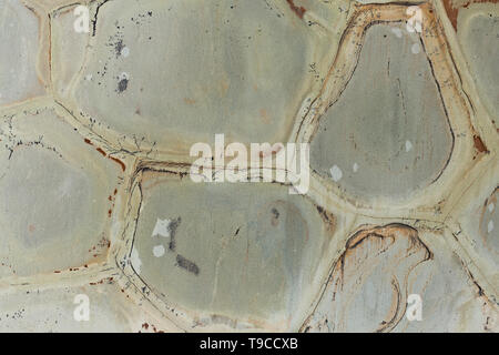 Turtle green - natural quartzite stone texture, photo of slab. Matt ...