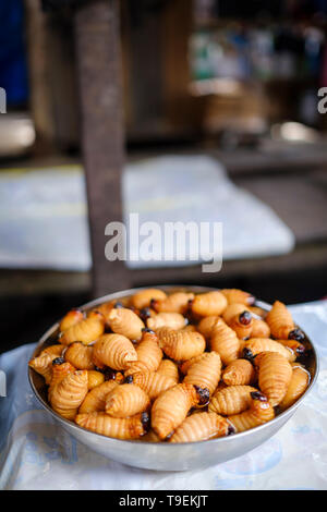 Delicious Suri, palm tree worms, fried and ready to eat on Bellavista ...