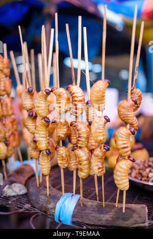 Delicious Suri, palm tree worms, fried and ready to eat on Bellavista ...