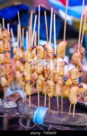 Delicious Suri, palm tree worms, fried and ready to eat on Bellavista ...