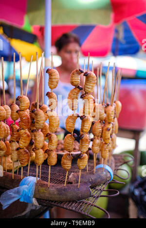 Delicious Suri, palm tree worms, fried and ready to eat on Bellavista ...