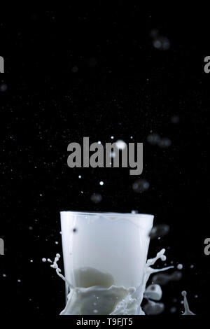 High contrast chaotic splash of white milk. Dairy beverage flowing out ...