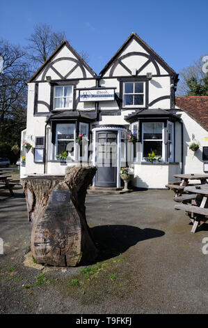 Tree and plaque to Helene De Boise, Letchmore Heath, Hertfordshire ...