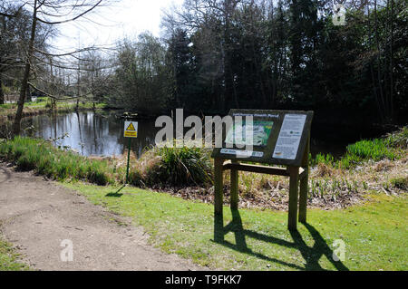 Letchmore Heath Pond, Letchmore Heath, Hertfordshire, is a beautiful ...