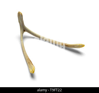 Chicken wish bone Stock Photo - Alamy