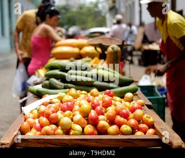Cuban market tomatoes Stock Photo - Alamy