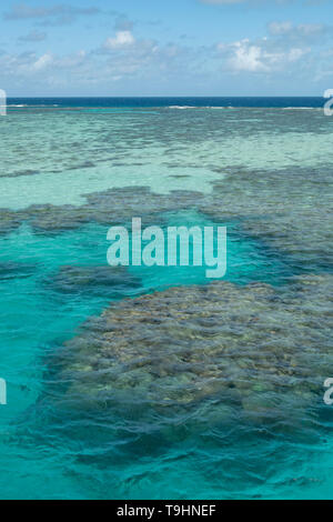 Nathan Reef, Great Barrier Reef, Queensland Stock Photo - Alamy