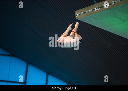 Matty Lee in the Mens 10m preliminary round during the British Diving ...