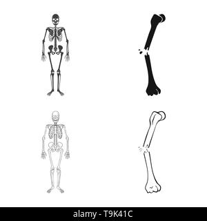 fracture,pain,bias,injury,connective,musculoskeletal,fiber,scientific ...
