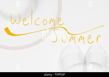 Welcome Summer message alphabet letter on pink background Stock Photo ...