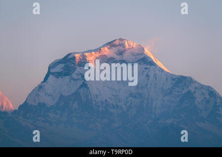 Sunrise over Himalaya mountains. Mount Dhaulagiri viewed from Poon Hill ...