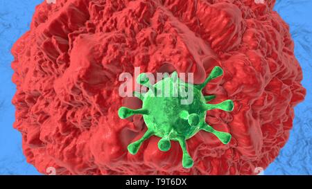 3d illustration of the absorption of viruses by immune cell in the ...