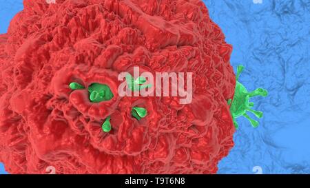 3d illustration of the absorption of viruses by immune cell in the ...