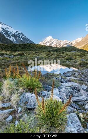Mountain Glacier and little pond in Southern Alps, New Zealand Stock ...