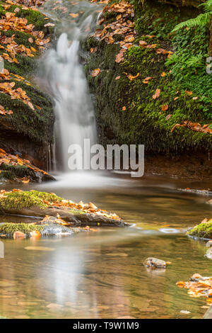 Arce Valley forest. Autumn, Navarre, Spain Stock Photo - Alamy