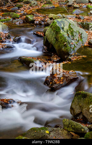 Arce Valley forest. Autumn, Navarre, Spain Stock Photo - Alamy