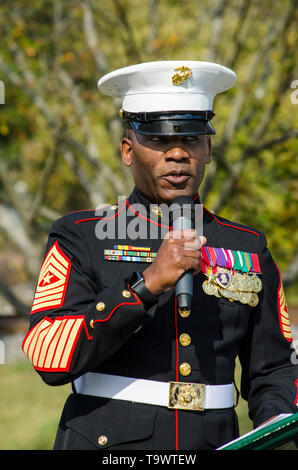 Decorated Marine Gives Keynote Speech at a Veteran’s Day Ceremony Stock ...