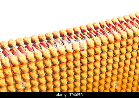 Lipid formation, fat in the human body. View under the microscope. 3d ...