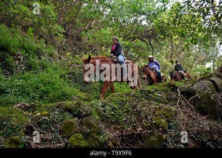 USA Hawaii Molokai mule ride to Kalaupapa National Historical Park ...