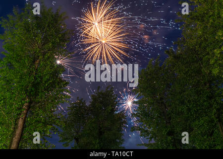exploding fireworks behind trees Stock Photo - Alamy