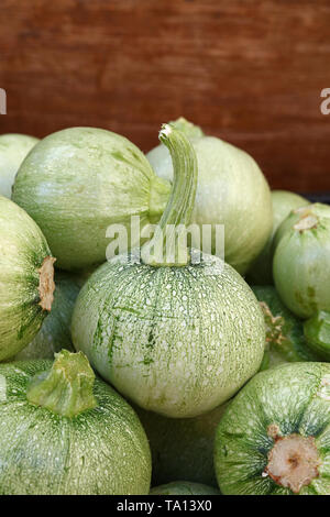 Small round green courgettes in a box for sale at farmers market Stock ...