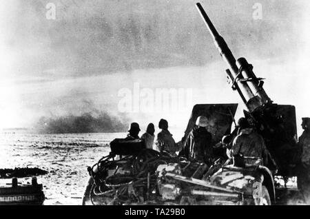 5-cm Flak 41 Stock Photo - Alamy