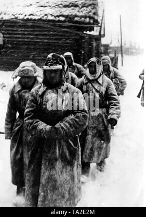 Russian prisoners taken by German soldiers on the Eastern Front Stock ...