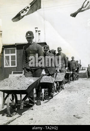 Members of the Reich Labour Service (RAD) (undated admission ...