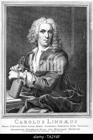 Carl von Linne (since 1762), previously Carolus Linnaeus. In his work ...