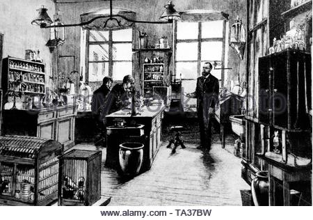 Robert Koch (1843-1910) German bacteriologist and physician in his ...