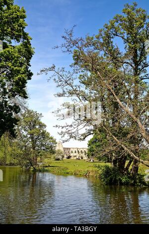 The ruins of Newark Priory, an Augustinian priory by the River Wey, now ...