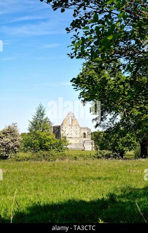 The ruins of Newark Abbey, an Augustinian priory near Ripley and ...