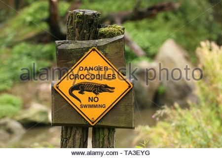 Dangerous salt water crocodile warning sign, Kakadu National Park Stock ...