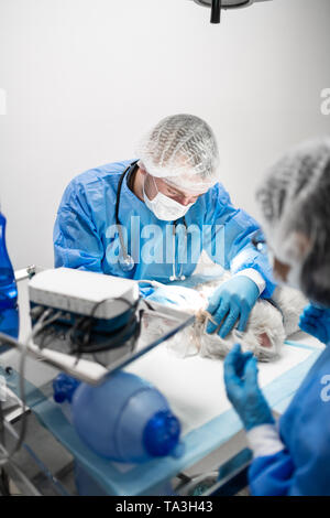Working process in the operating room Stock Photo - Alamy